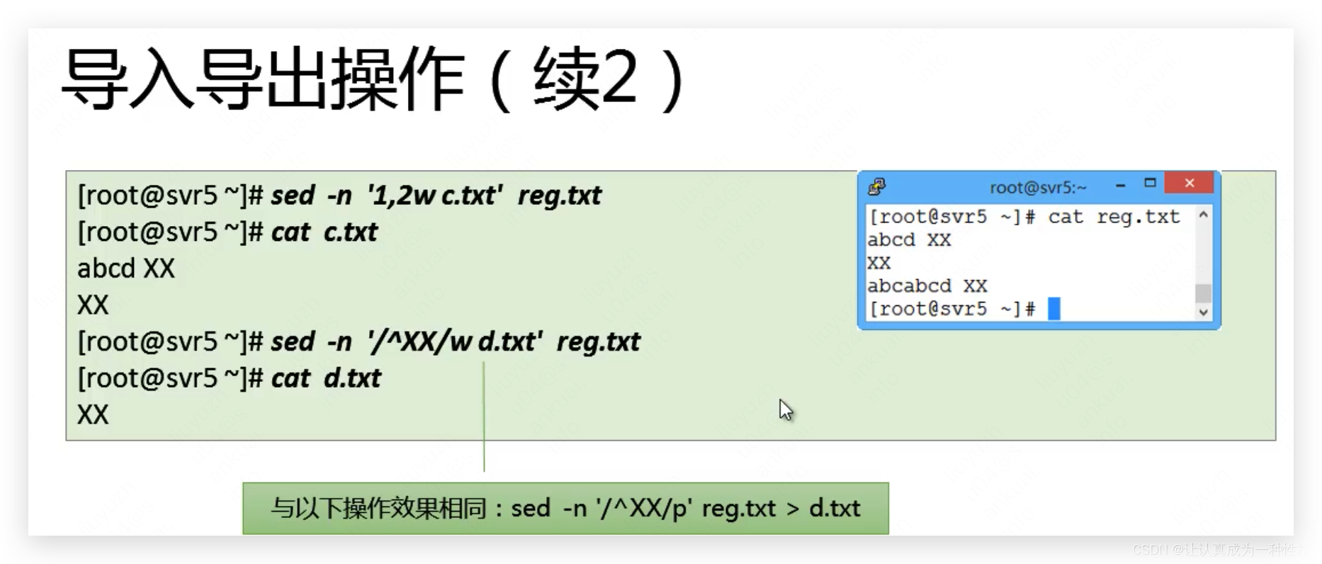 【shell】shell脚本开发-sed-CSDN博客