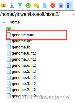 RNA-Seq 笔记 [3]_hisat2建立索引-CSDN博客