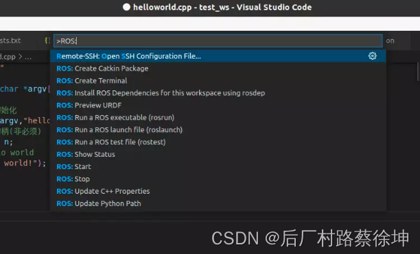 【ROS进阶】一文讲清如何在VScode中配置ROS编程环境_vs code如何加载ros系统-CSDN博客