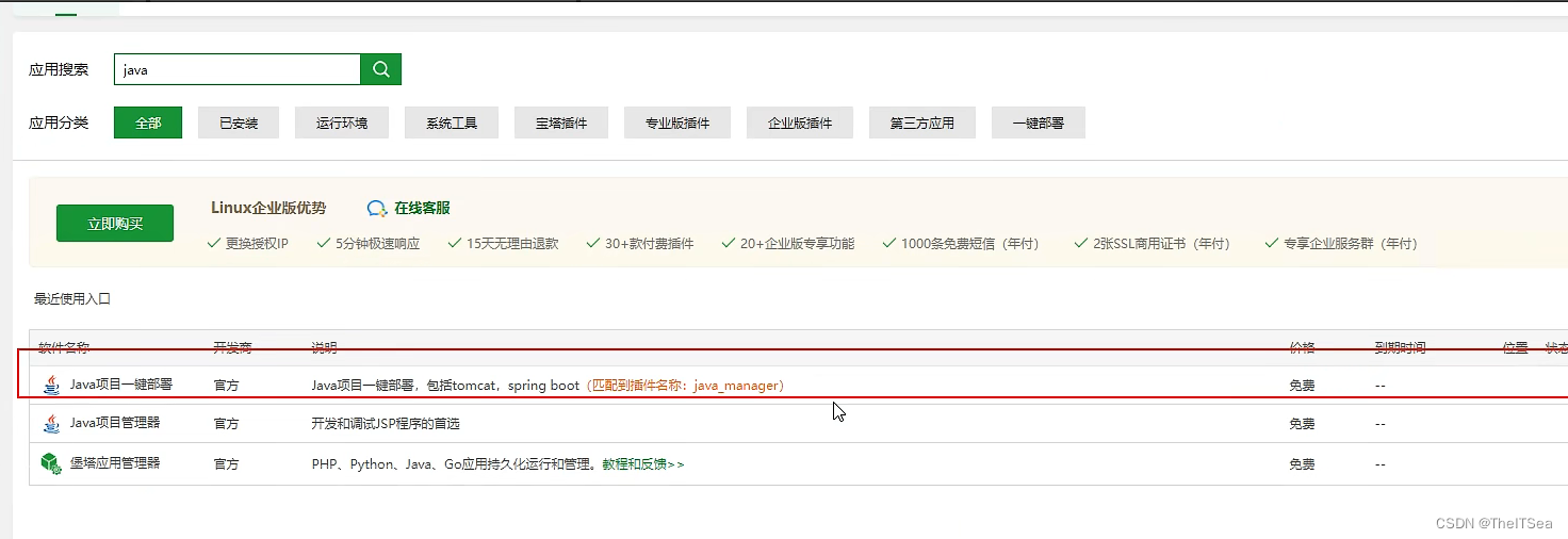 宝塔部署java Vue前后端分离项目经验总结 宝塔搭建后端 Csdn博客