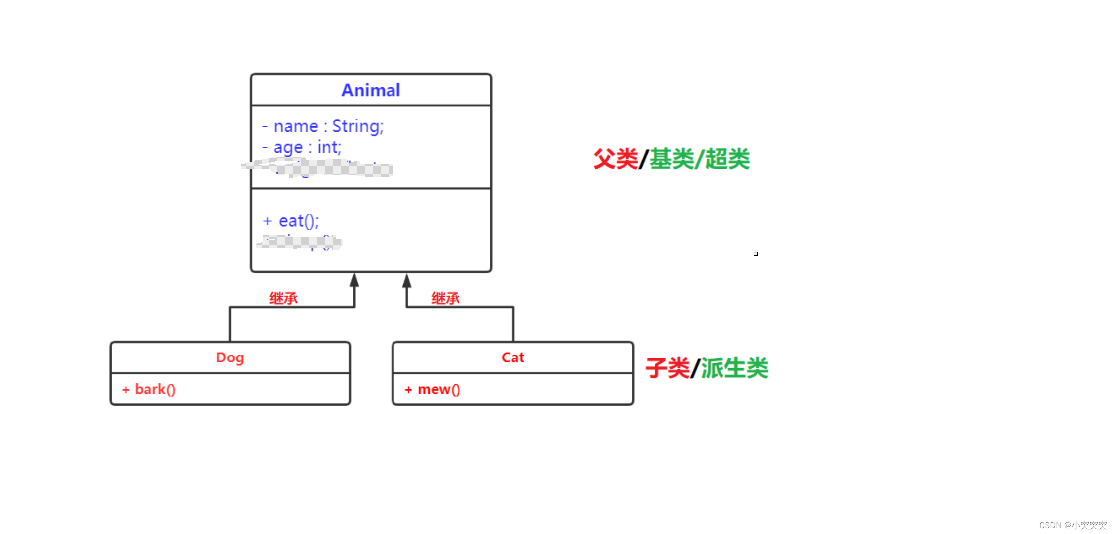 谈谈Java中的继承和多态_java继承与多态csdn-CSDN博客