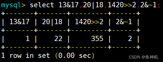 Mysql数据类型及运算符基础练习在mysql中执行位运算13and17、208、14 Csdn博客