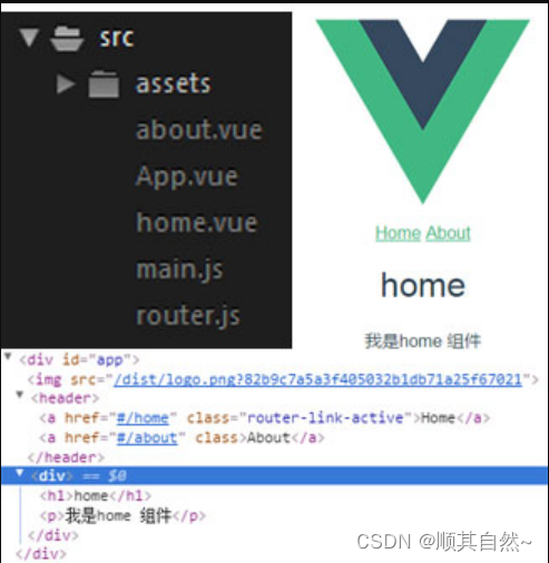 vue-router 基本使用_vue router component-CSDN博客