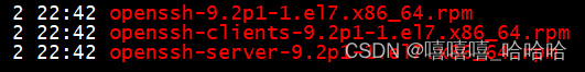 CentOS7升级OpenSSH9.2编译rpm包_openssh rpm包下载-CSDN博客