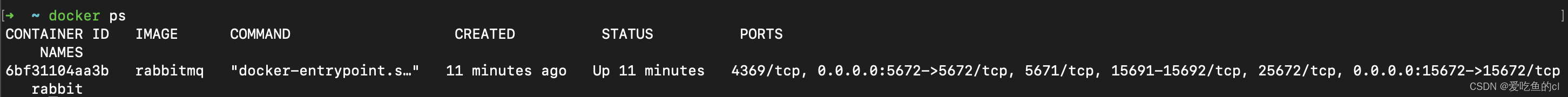 Docker搭建rabbitmq环境并开启管理页面_rabbitmq开启管理界面-CSDN博客