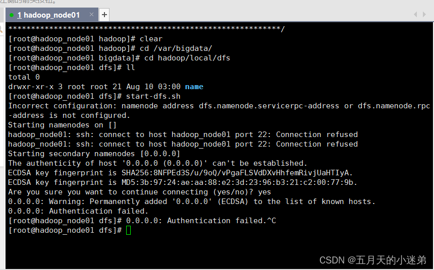 Hadoop启动datanode 的时候连接不上，Incorrect configuration: namenode address dfs.namenode.servicerpc ...