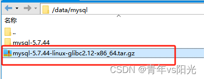 保姆级银河麒麟V10高级服务器离线安装mysql5.7数据库_银河麒麟安装mysql5.7-CSDN博客