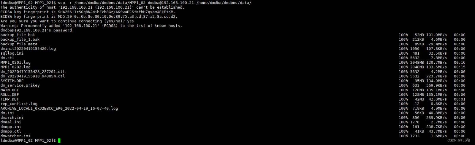 达梦MPP集群搭建-CSDN博客