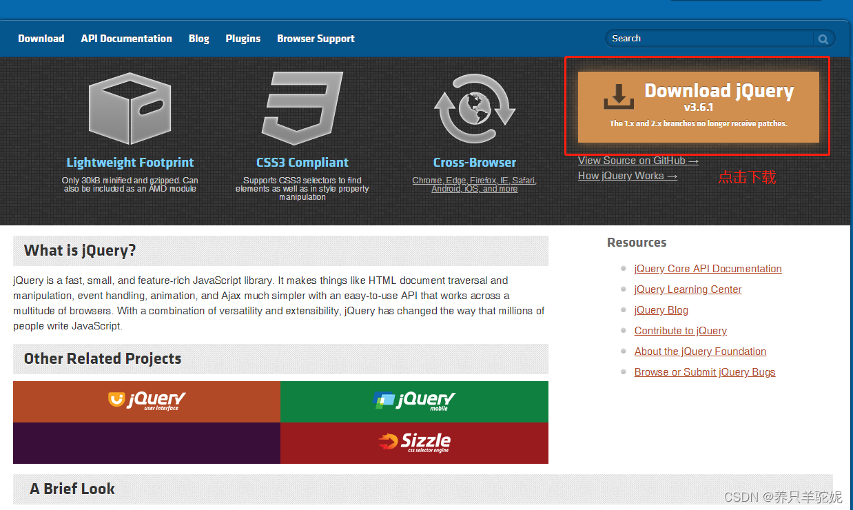jQuery第1天 | 概述、常用API（选择器、样式操作、效果）_window.$ 原生选择器-CSDN博客