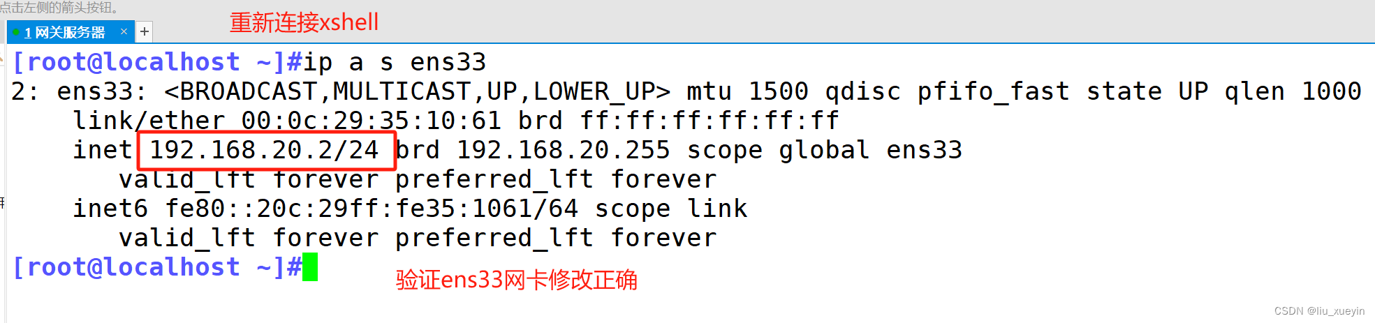 【Linux网络】搭建内外网的网关服务器，实现DNS分离解析与DHCP自动分配_linux 网关服务器-CSDN博客