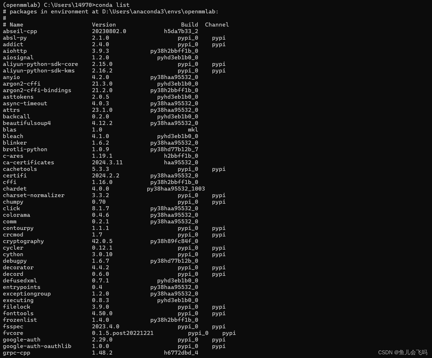【MMCV】MMCV安装与踩坑_mmcv.runner安装-CSDN博客
