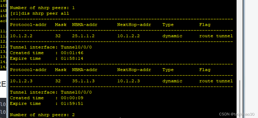 GRE和MGRE实验_gre mgre ipip 测试-CSDN博客