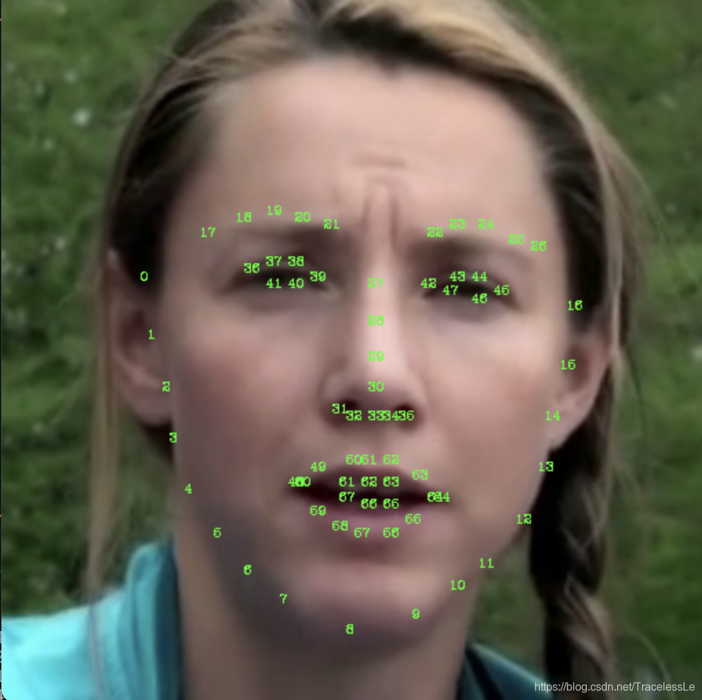 face_alignment库获取人脸图片landmark示例_face-alignment提取视频唇部-CSDN博客