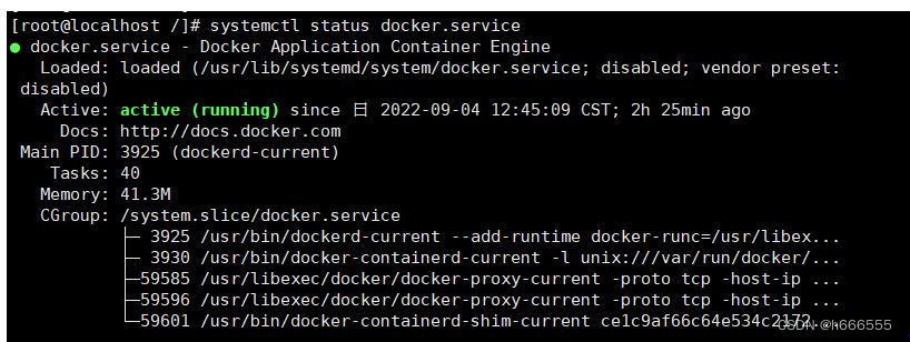 Centos使用Docker搭建Lamp环境，一步到位_centos7 docker安装lamp php5.6-CSDN博客