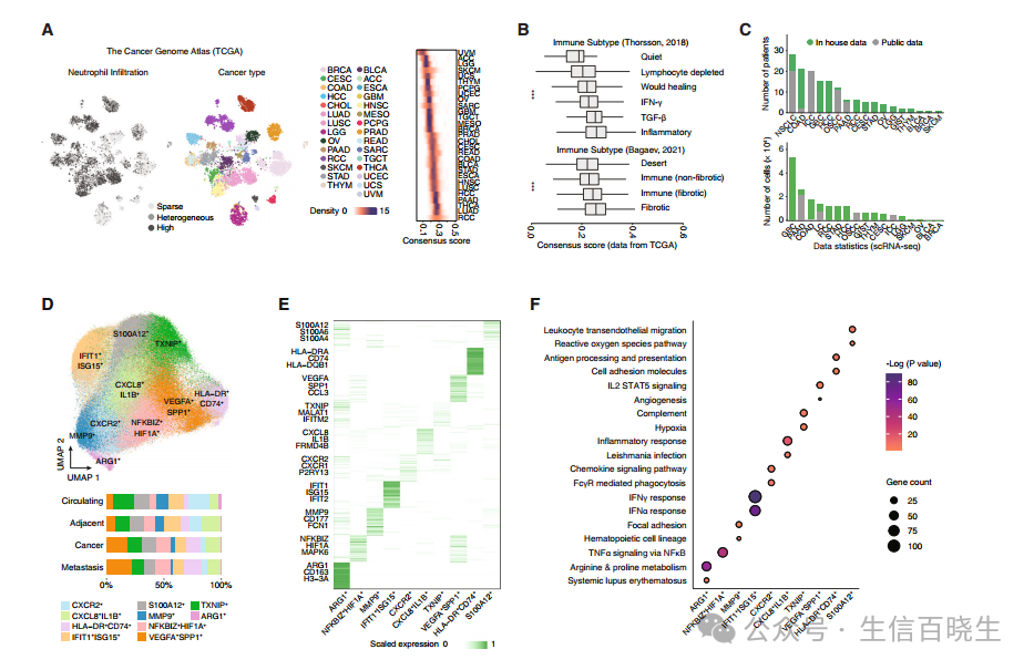 单细胞高分文章代码分享6 樊嘉 高强 团队泛癌中性粒细胞_中性粒细胞泛癌复现代码-CSDN博客