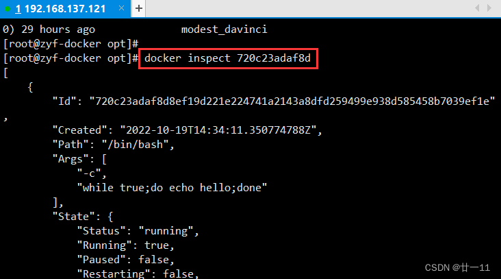Docker：（三）docker镜像与容器基本的基本操作_在容器立面输入docker ps-CSDN博客