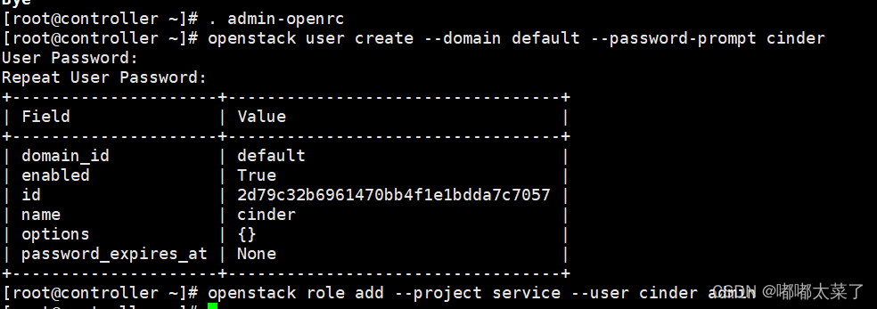 【Openstack Train安装】十二、Cinder安装-CSDN博客