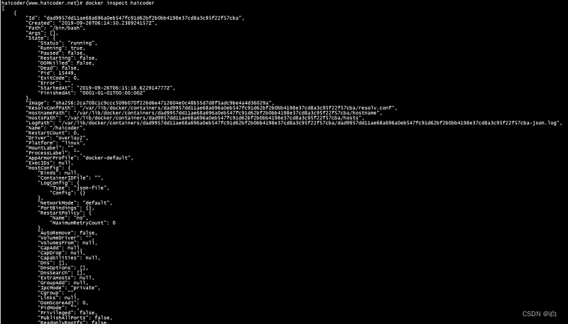 【自学Docker】Docker push命令-CSDN博客
