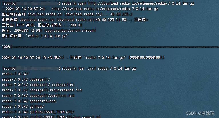 CentOS7安装Redis教程（自用----适合新手）-CSDN博客