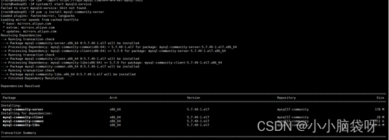 LIUNX MYSQL安装-CSDN博客