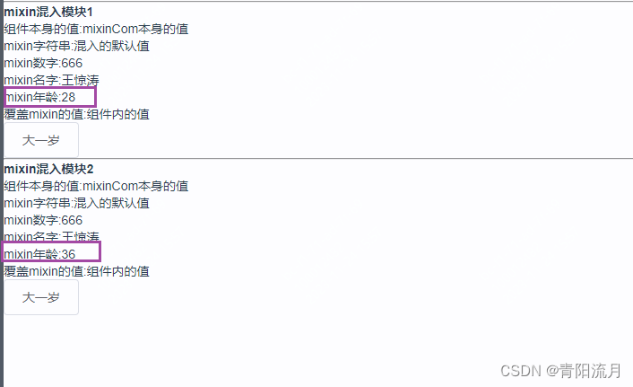 vue2:mixin混入的使用_vue2 mixin 怎么在js 中使用-CSDN博客