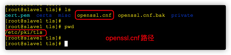 grpc、https、oauth2等认证专栏实战3: 使用openssl来制作san类型的证书_使用 openssl 生成多域名(san)csr文件和证书-CSDN博客