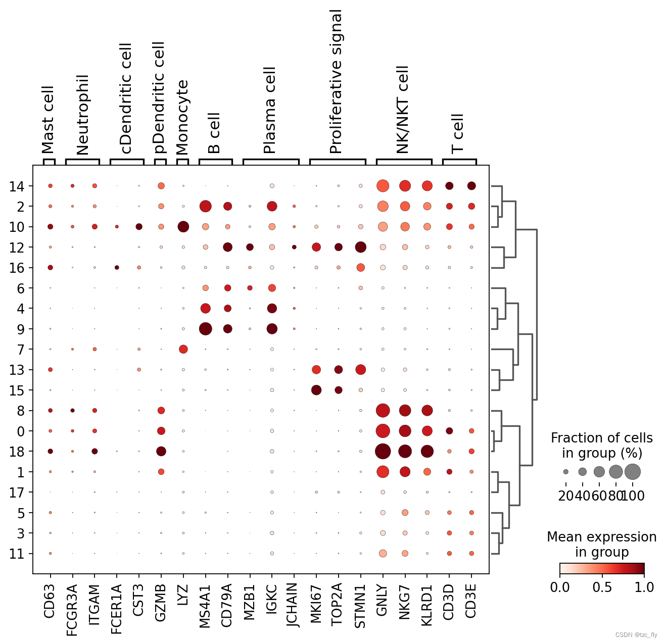 3.基于python的scRNA-seq细胞类型注释-手动注释_python 细胞注释-CSDN博客