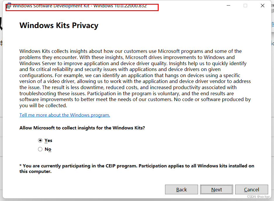 Windos驱动开发环境搭建_wdk10.0.22000.0-CSDN博客