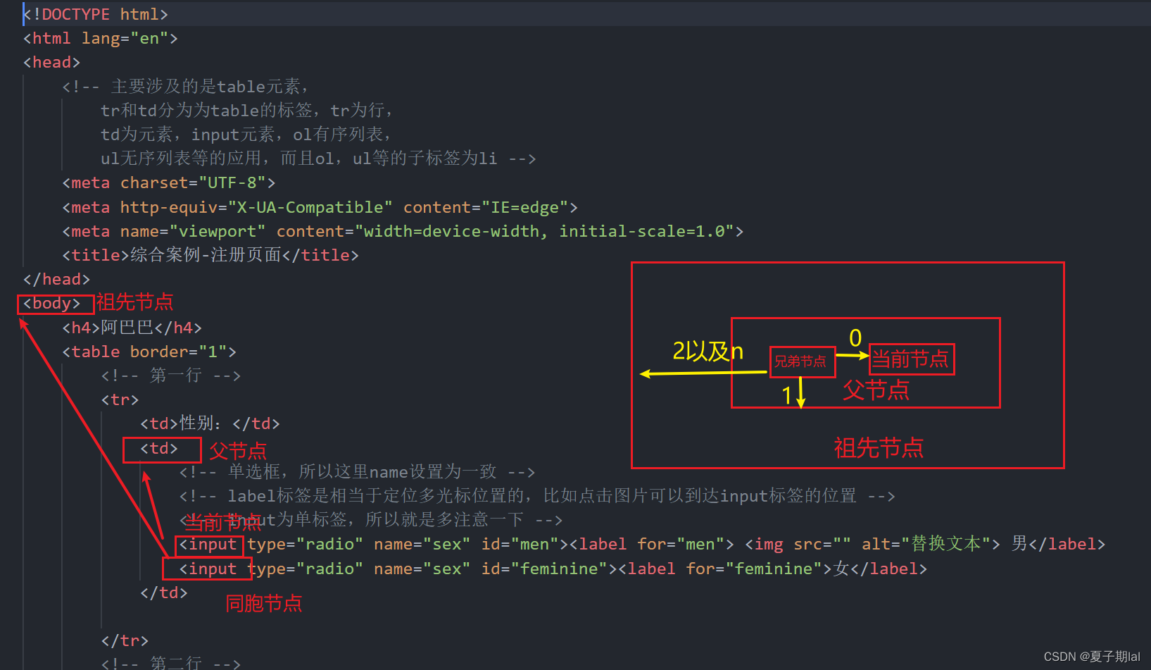 Xpath介绍以及语法_xpath 节点属性-CSDN博客