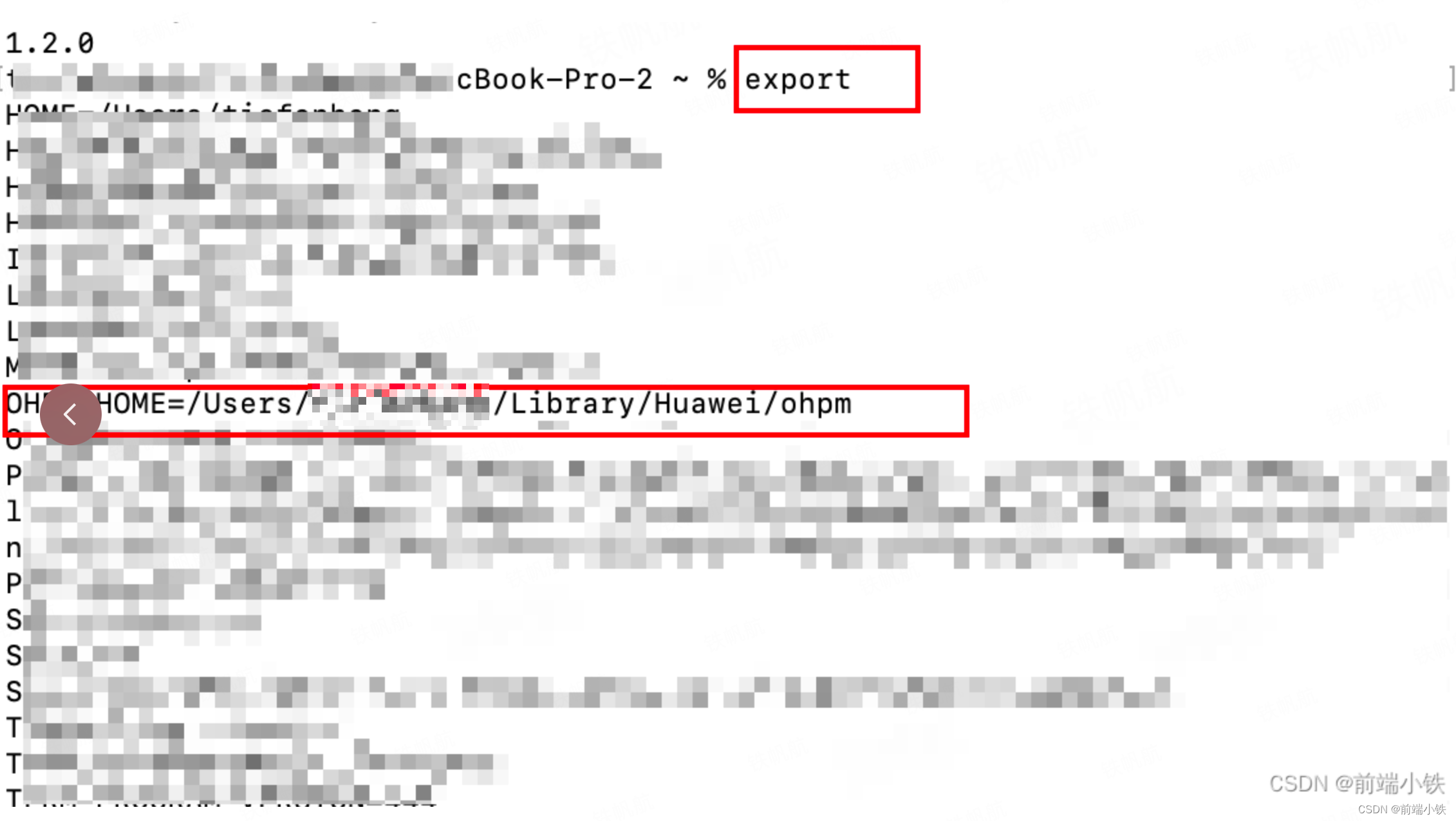 Mac电脑 安装 Ohpm ｜HarmonyOS 安装 Ohpm_mac ohpm-CSDN博客