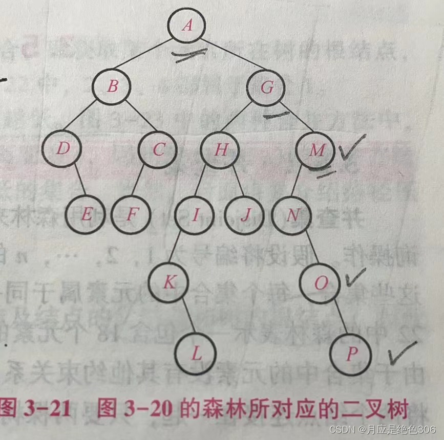 数据结构：树与森林的表示及遍历方法-CSDN博客