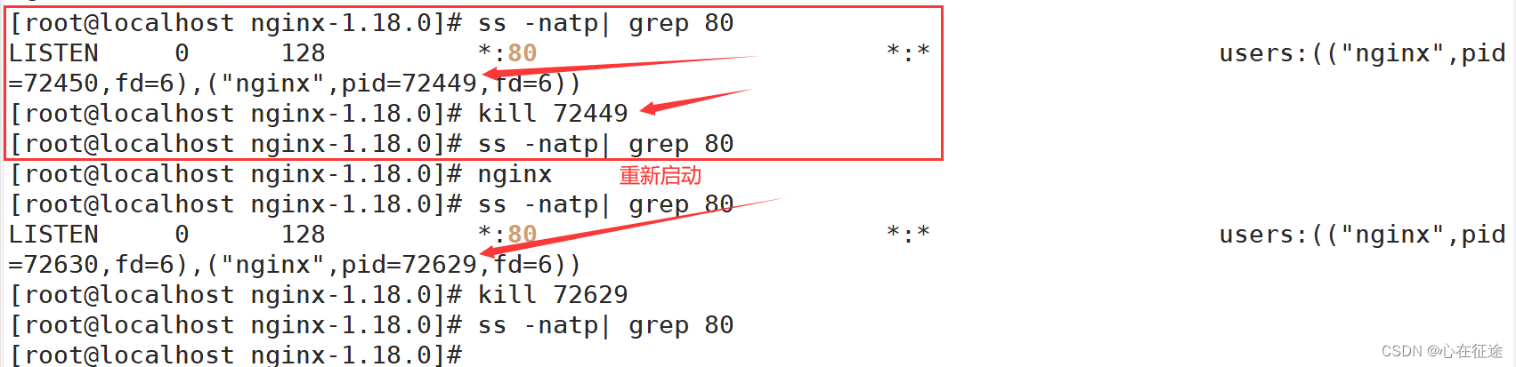 nginx的启动，systemd管理_nginx systemd-CSDN博客