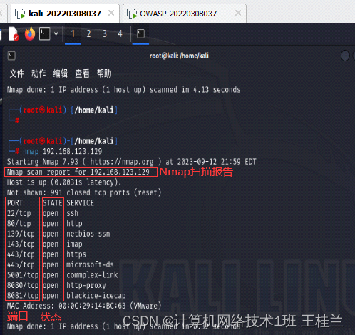 Web被动与主动信息收集_web 被动接收-CSDN博客