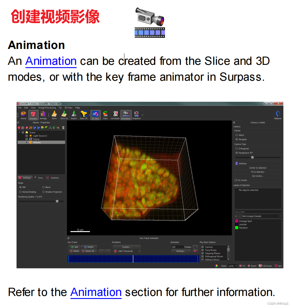 imaris如何导入3D结构数据，然后导出视频，导出图片_imaris三维重建-CSDN博客