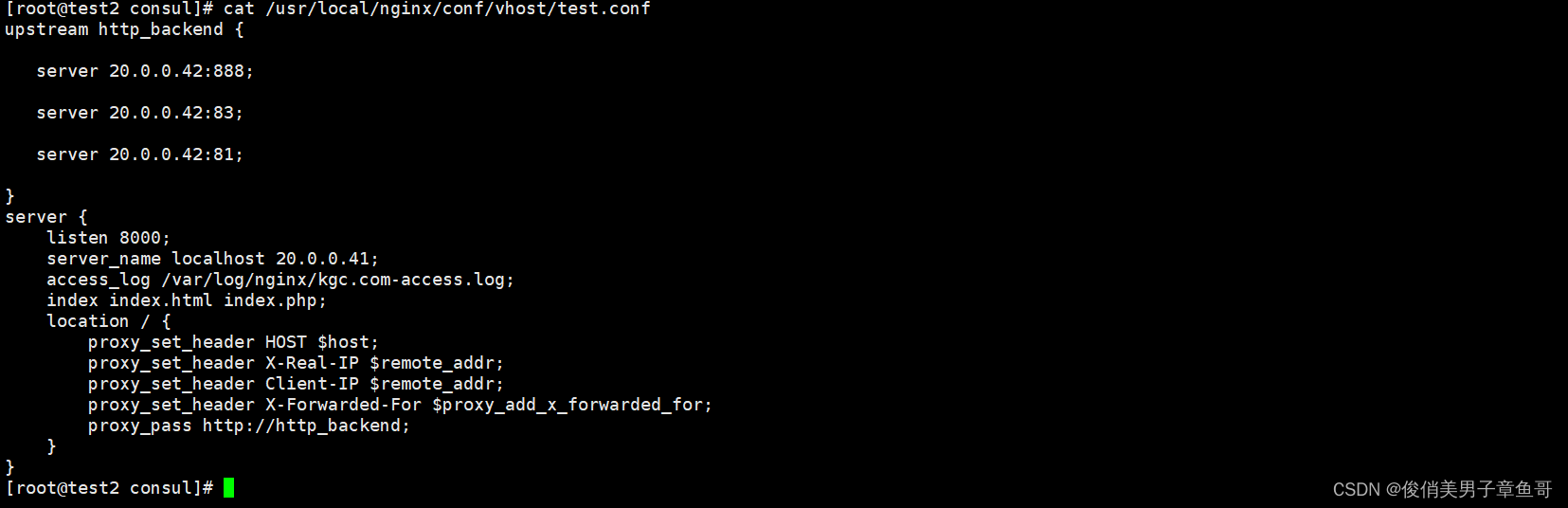 Docker-consul容器服务自动发现与注册_consul docker注册ip和端口-CSDN博客