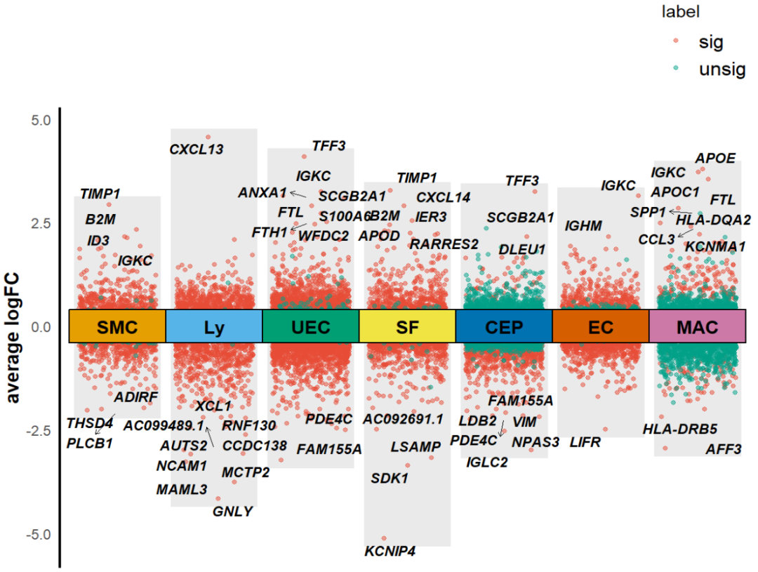 （视频教程）单细胞转录组多组差异基因分析及可视化函数_单细胞多组差异基因展示-CSDN博客