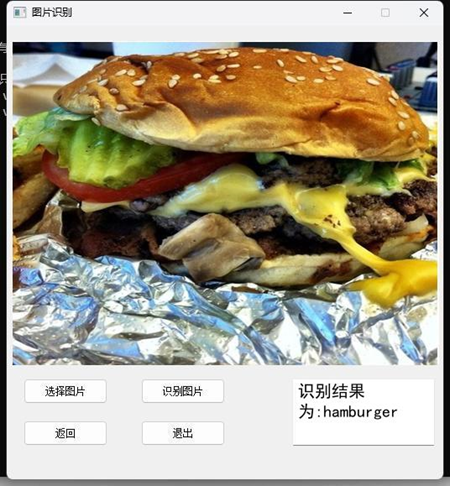 基于python的CNN深度学习训练识别吃的-含数据集+pyqt界面-CSDN博客