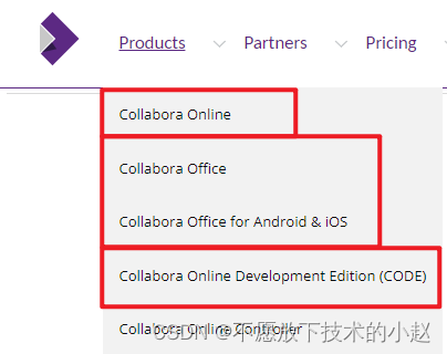 SpringBoot实战（二十八）集成 Collabora Online 实现在线编辑-CSDN博客