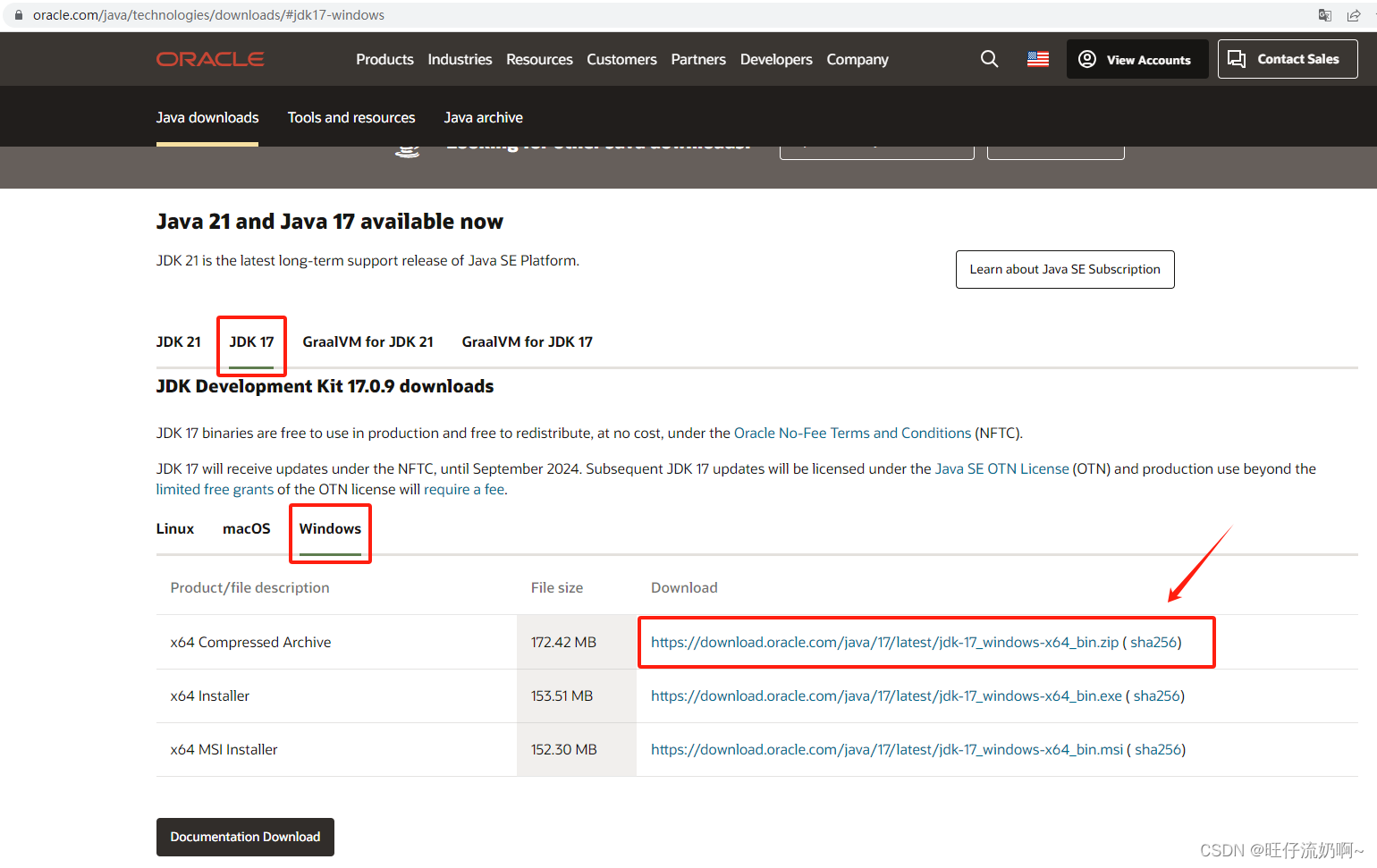 jdk17安装_jdk17百度云-CSDN博客