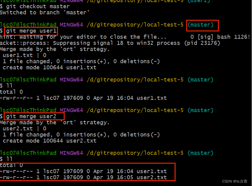 Git相关配置的指令_git config -l-CSDN博客