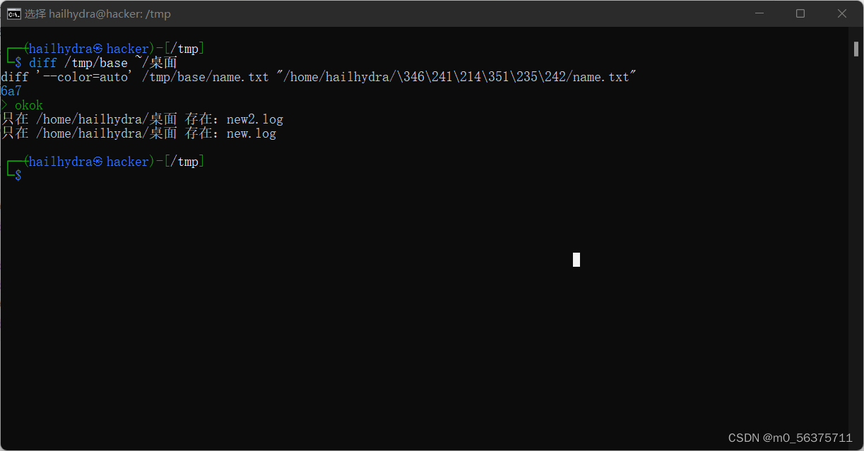 Linux系统下敏感文件监控与篡改检测 Csdn博客