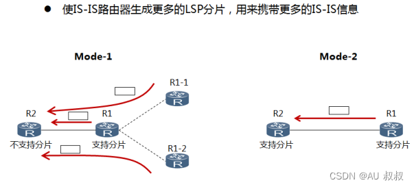 5.2 IS-IS LSP分片扩展-CSDN博客