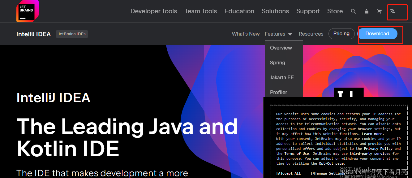 IntelliJ IDEA开发工具的下载与安装_ider下载-CSDN博客