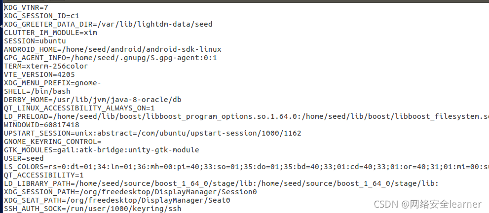 Environment Variable and Set-UID Program Lab-CSDN博客