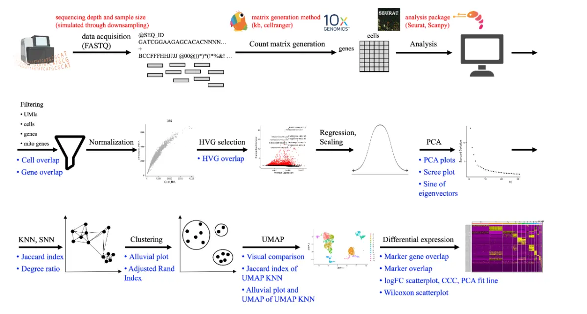 系统比较Seurat和scanpy版本之间、软件之间的分析差异_seurat差异表达-CSDN博客