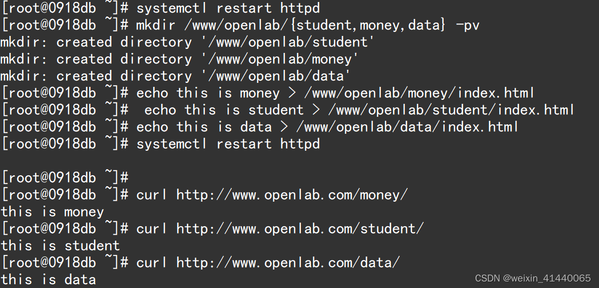 给openlab搭建web网站-CSDN博客