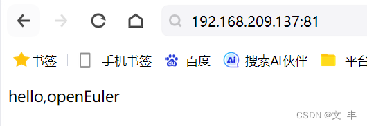 《HCIP-openEuler实验指导手册》1.2Apache主页面配置-CSDN博客