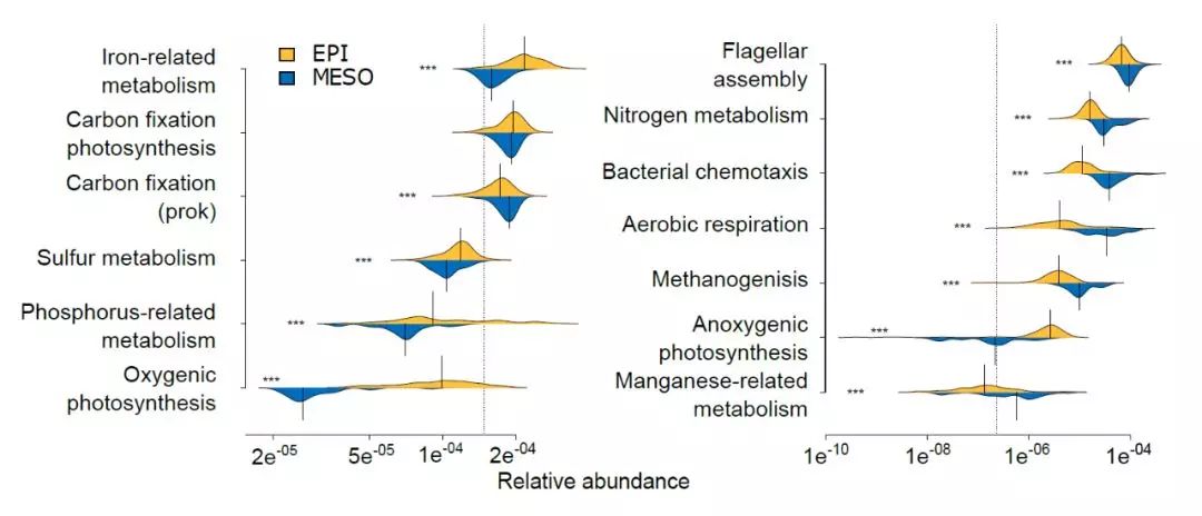 R语言使用beanplot包绘制豆荚图实战：与箱图、小提琴图对比、绘制不对称的豆荚图-CSDN博客