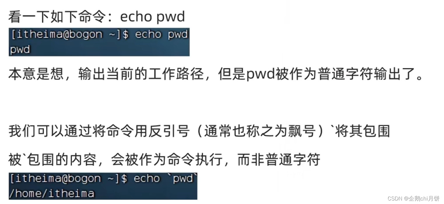 Linux命令进一步学习：which，find，grep，管道符，echo，tail，重定向符，Vim编辑器详细介绍，终端快捷键和小技巧_which echo-CSDN博客