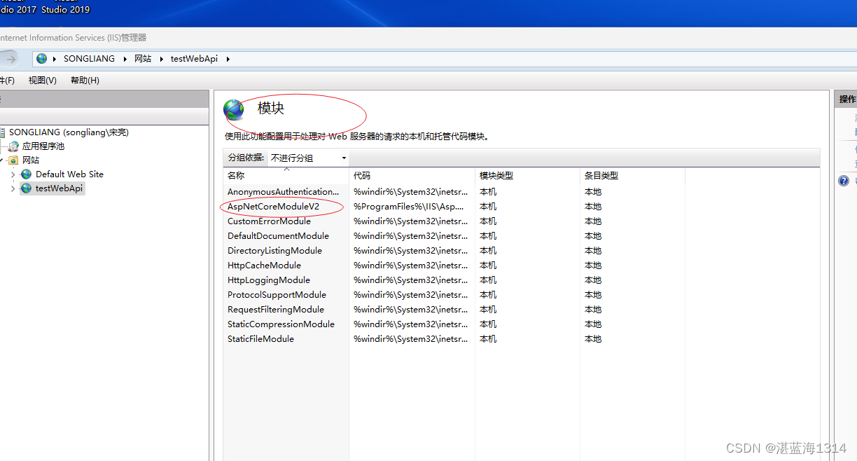 IIS 部署_dotnet-hosting-5.0.17-win-CSDN博客